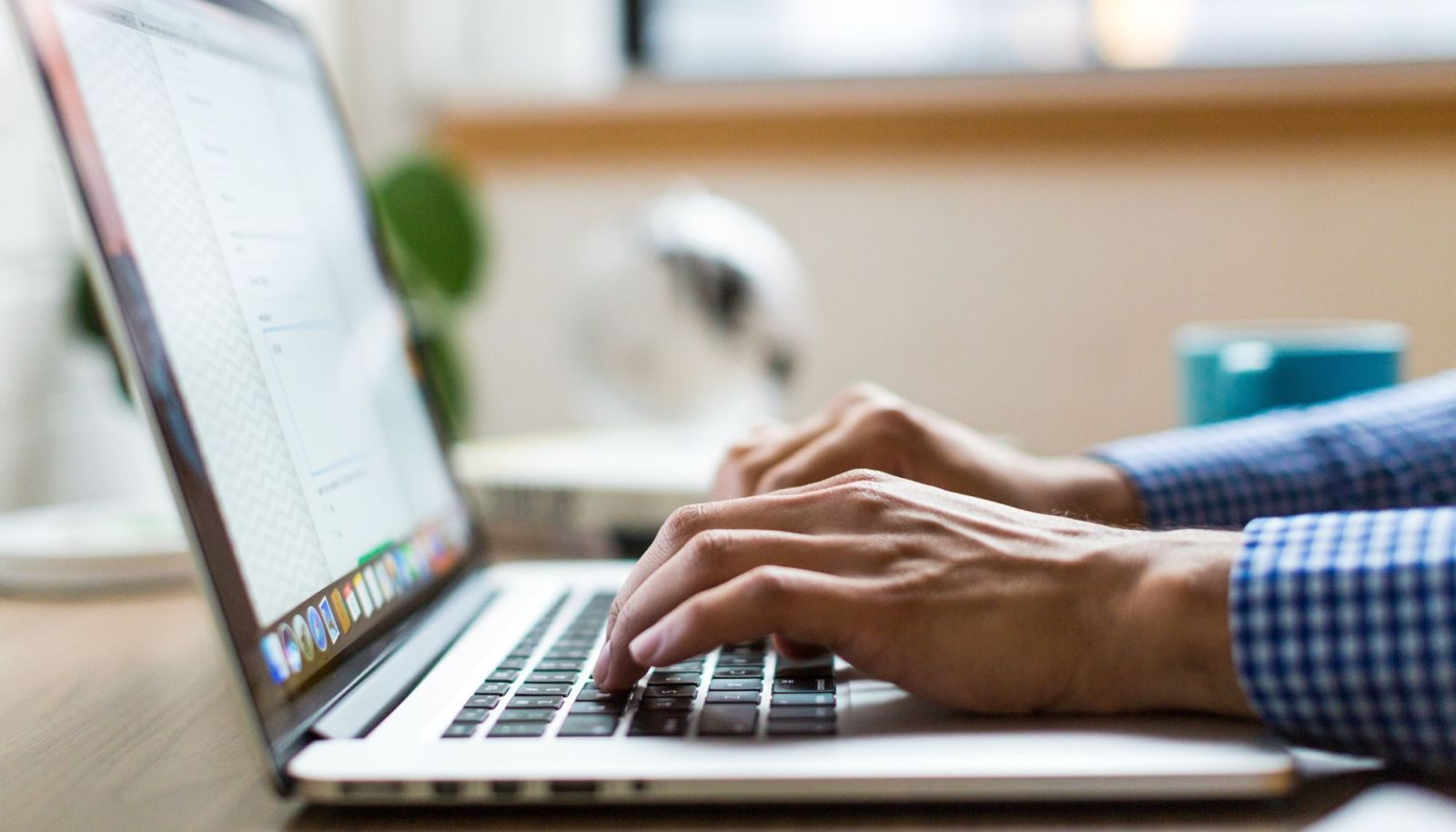 FAQs – WDS Green Energy